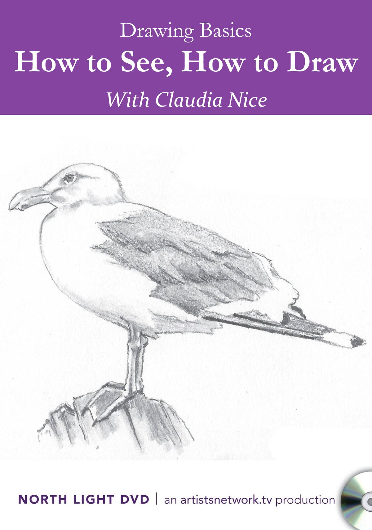 Claudia Nice: Drawing Basics - How to See, How to Draw - PaintTube.tv