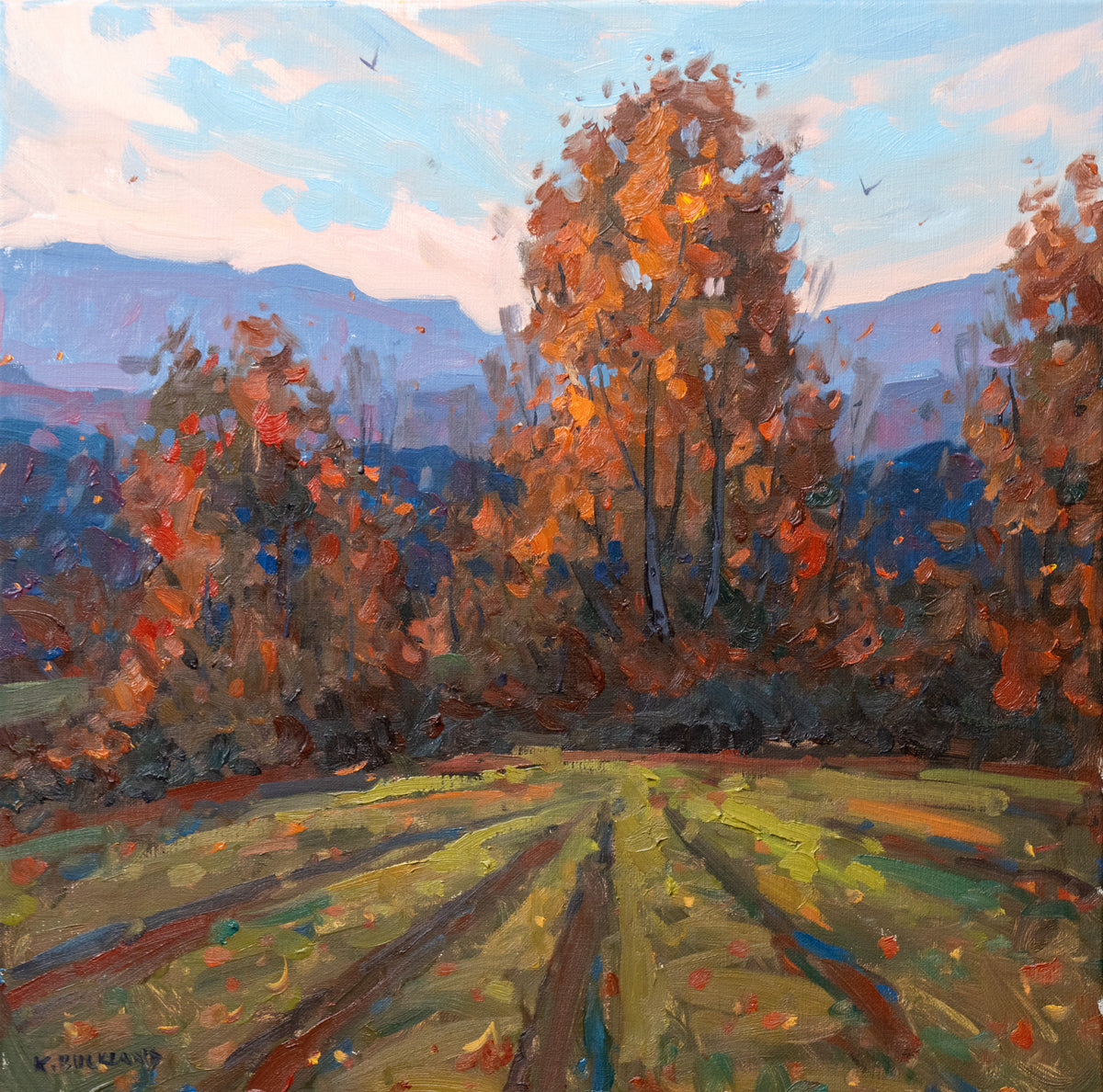 Kyle Buckland: Courageous Design - Unleashing Creativity with Bold Bru ...