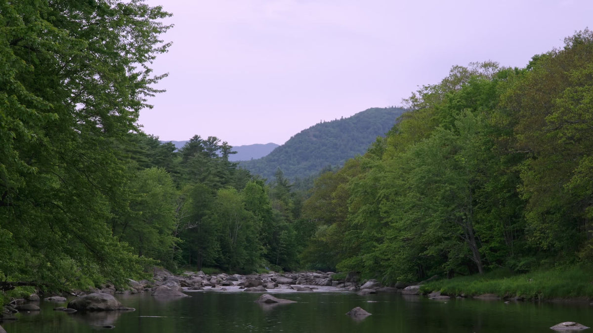 Bill Davidson: Unlock the Magic of Landscape Painting - Bill Davidson ...