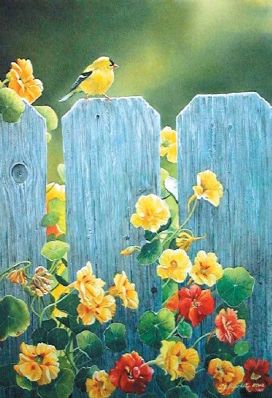 Susan Bourdet: Bold & Beautiful: Backyard Wildlife in Watercolor ...