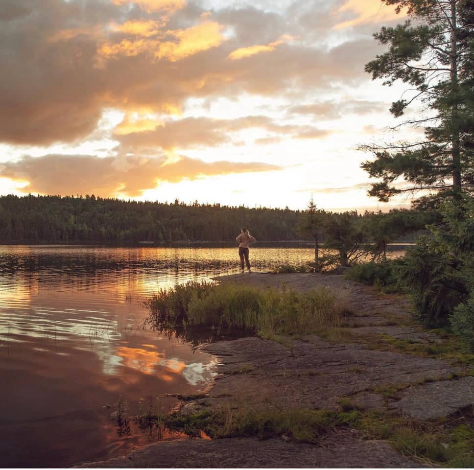 Nicholas Coleman: Storypainting: Creating Emotion with Your Brush ...