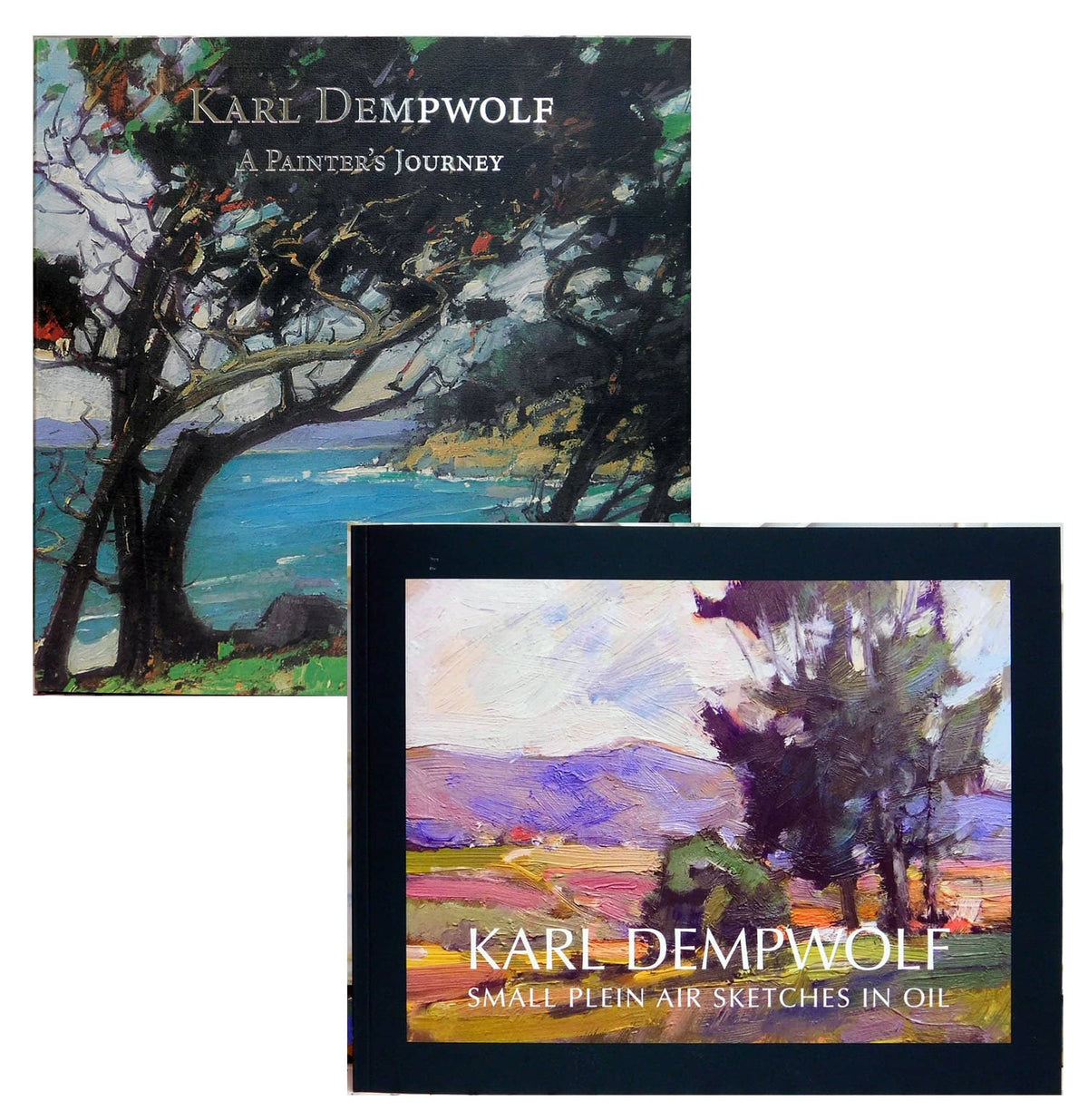 Karl Dempwolf Book Bundle (2 Books) - PaintTube.tv