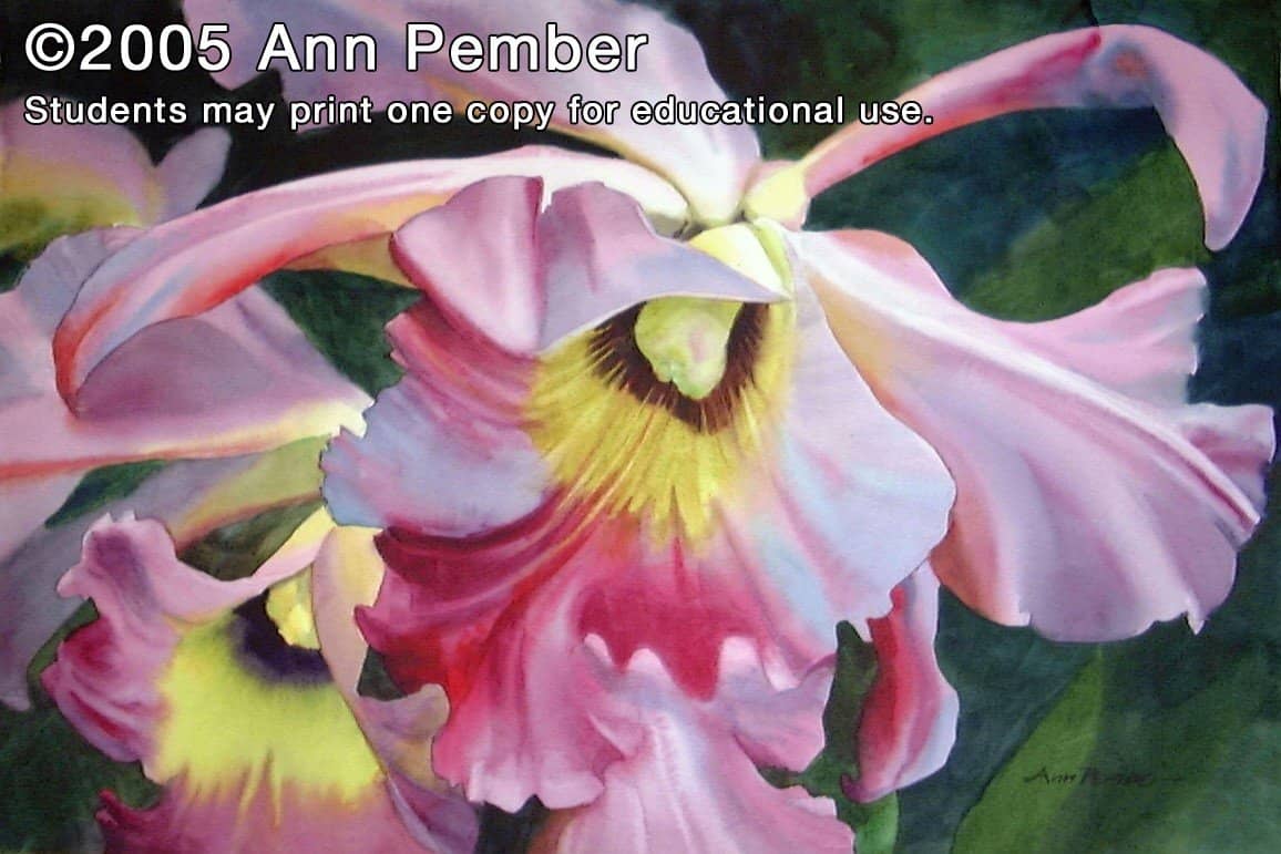 Ann Pember: Vibrant Orchid - PaintTube.tv