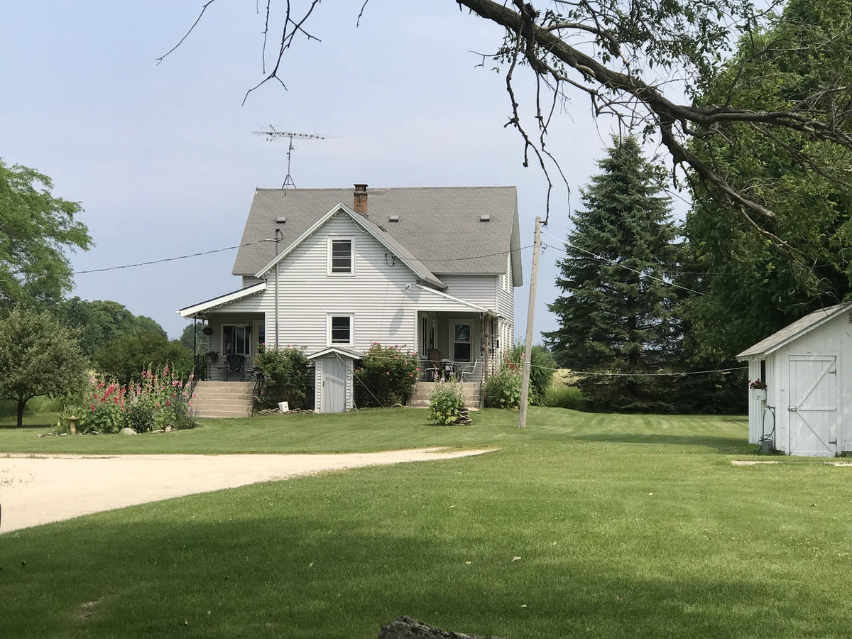 Kathie Odom: Bold Brushwork - PaintTube.tv