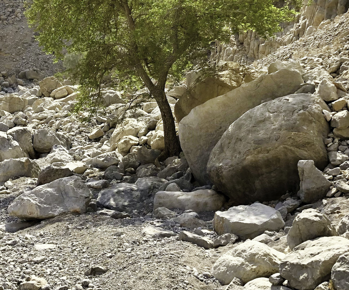 Matt Ryder: Painting Rocks & Sunlight - PaintTube.tv