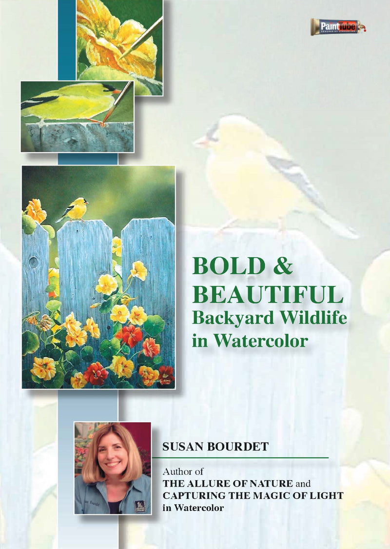 Susan Bourdet: Bold & Beautiful: Backyard Wildlife in Watercolor ...
