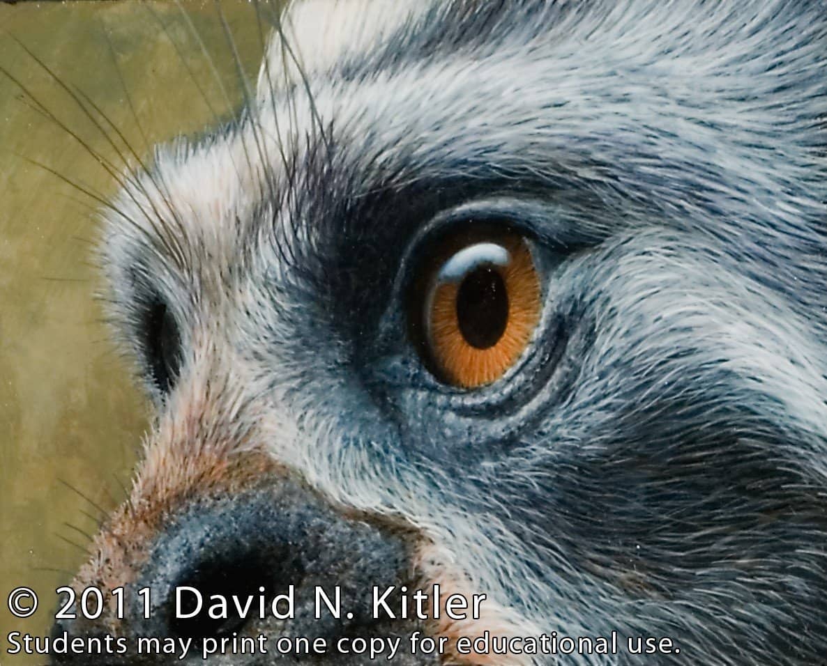 David N. Kitler: Painting Nature's Textures in Acrylics - PaintTube.tv